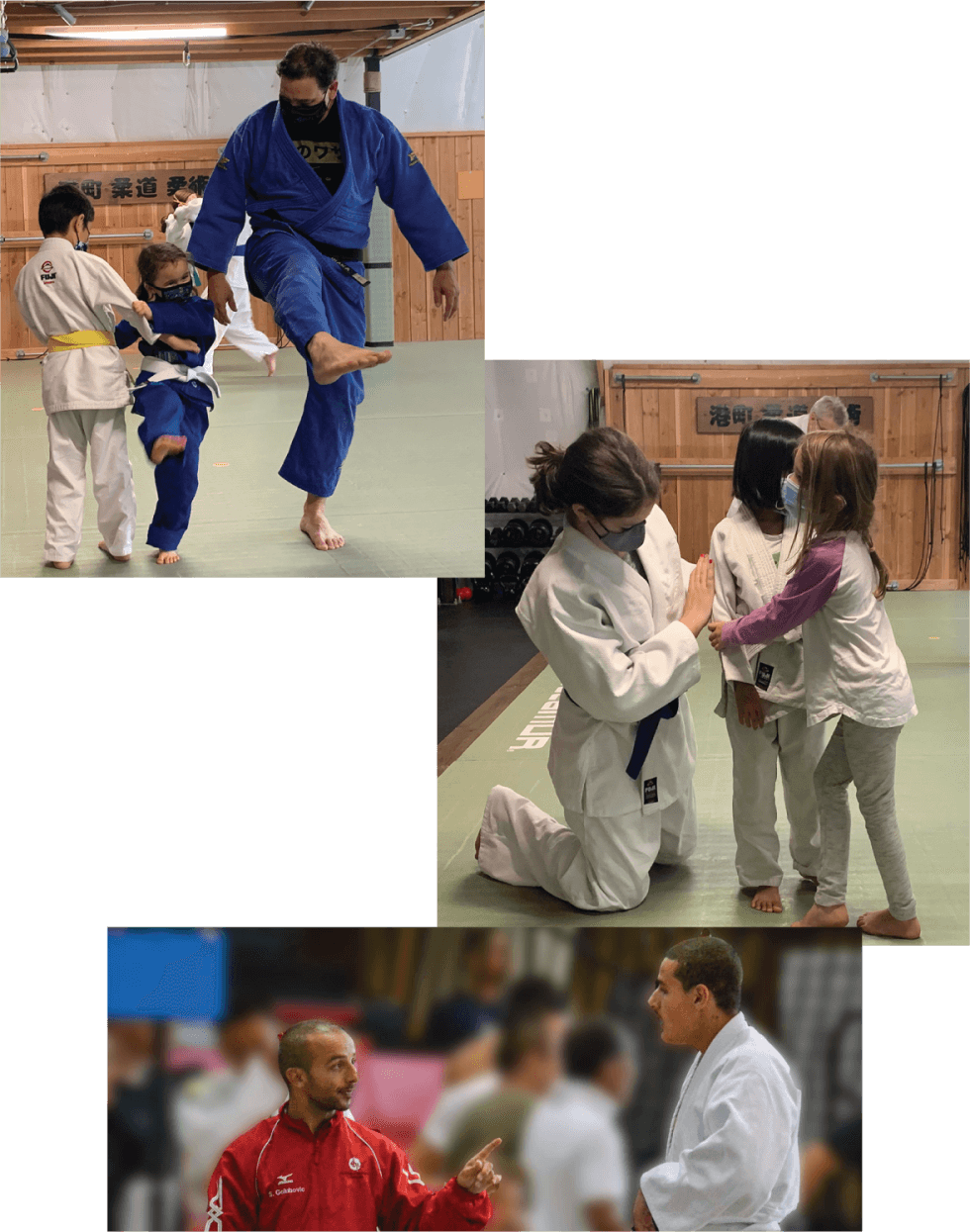 USJF Education Portal | USJF Education